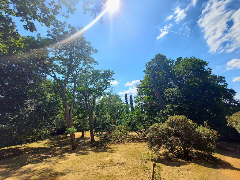 Hike For Youth – Here For Youth